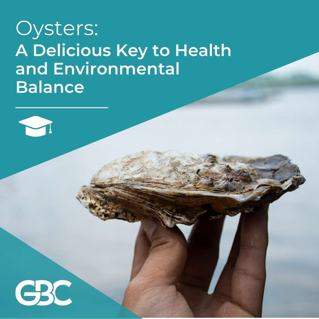 Oysters: A Delicious Key to Health and Environmental Balance - GBC ...